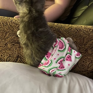 Cannabis Weed Marijuana Joint 420 Kitty Stash Cat Nip Toy 100% - Etsy