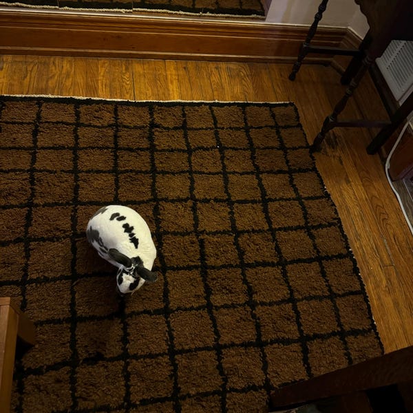 Moroccan Cobalt Blue Rug Moroccan Solid Rug Beni Ourain Rug Berber ...