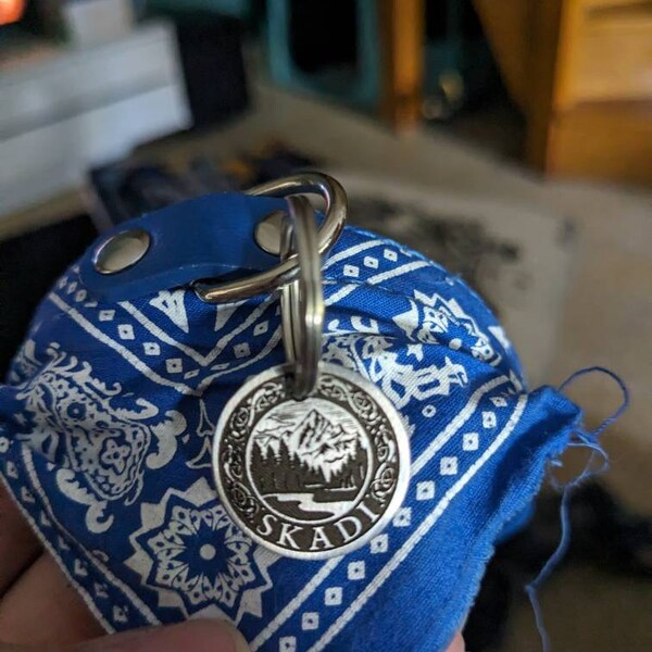 Custom Engraved Viking-style Stainless Steel Pet ID Tag - Etsy