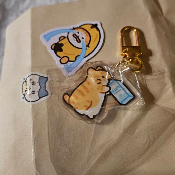 Cat Meme Keychain Double-sided Acrylic Charm - Etsy