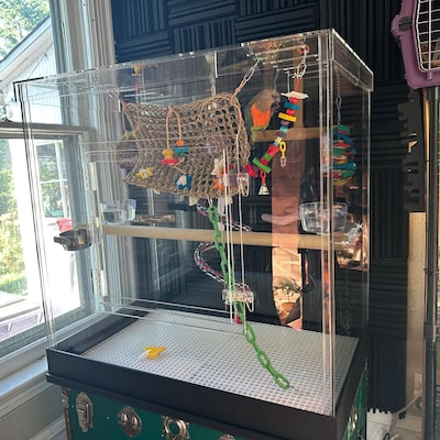 PENNZONI Acoustic Guitar Display Case, Fully Acrylic ,clear Acrylic ...