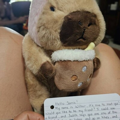 Capybara Plushie Toast, Stuffed Animal, Plush Toy, Gifts for Kids ...