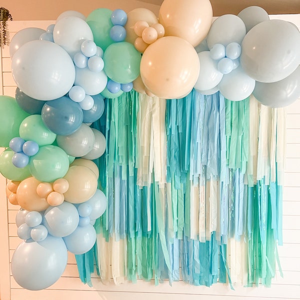 Custom Fringe Backdrop: Colorful Party, Birthday, Rainbow Decorations ...