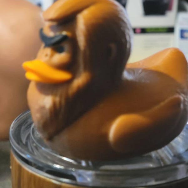 Lion Duck, Ducking, Dashboard Buddy, Custom Duck, Get Ducked - Etsy