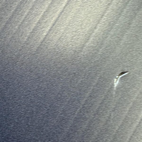 Max the Grinch Dog 3ft High Cut Out Christmas Prop Events Prop 4mm ...