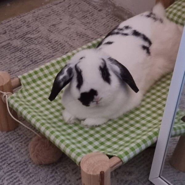 Rabbit Bunny Pet Bed, Wooden Bed With Pillow and Bedsheet Set, Multi ...