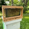 Beehive Rain and Snow Visor | Awning for Beehive | Snow and Rain ...