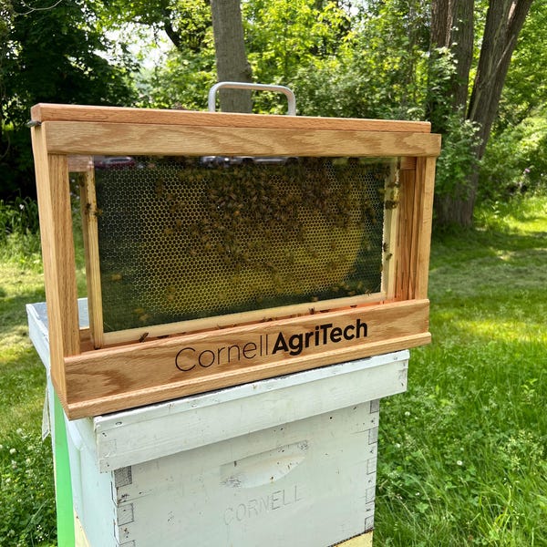 Beehive Rain and Snow Visor | Awning for Beehive | Snow and Rain ...