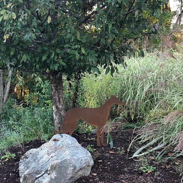 Rusty Metal Greyhound Garden Sculpture / Metal Greyhound Garden Art ...