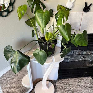 Monstera Table, Plant Stand, Side Table, Monstera Plant Stand, Indoor ...