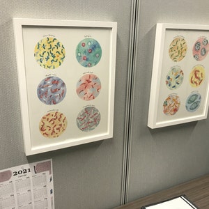 Thank You Card for Microbiology professor Chemistry Biology | Etsy