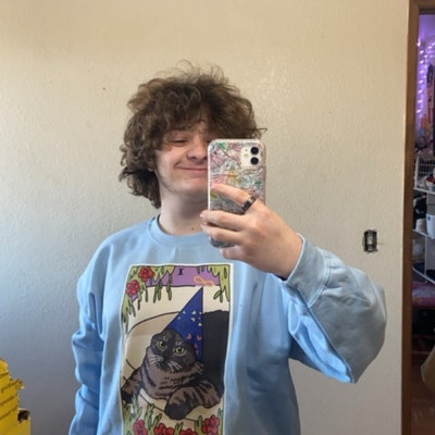 Tarot Cat the Hierophant Croc Cat Meme Sticker Cat Meme Sticker, Sad ...