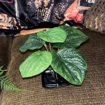 Plastic Moss Pads: Artificial Aquarium Plants Reptile Terrarium Plants ...