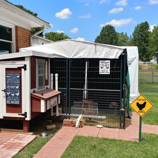 Chicken Xing Mini Metal Yellow Farm Caution Crossing Sign 6"x 6" or 12 ...