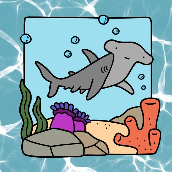Ocean Scene: Bold and Easy Designs for Relaxation With Sea Life ...
