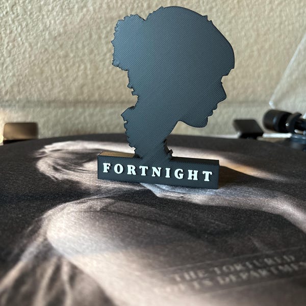 Pink Pony Club Vinyl Topper & Display - Etsy