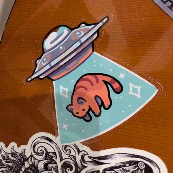 Silly Pigeon Sticker Pack - Etsy