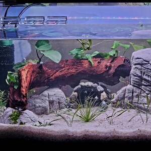 Handmade Natural Stone Tank Decor Swim Through Tunnel Hide - Etsy