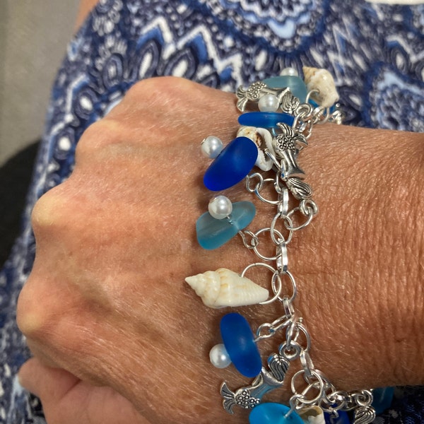 Seashells, Sanibel Island Shells, Florida Souvenir, Cat's Paw Shells ...