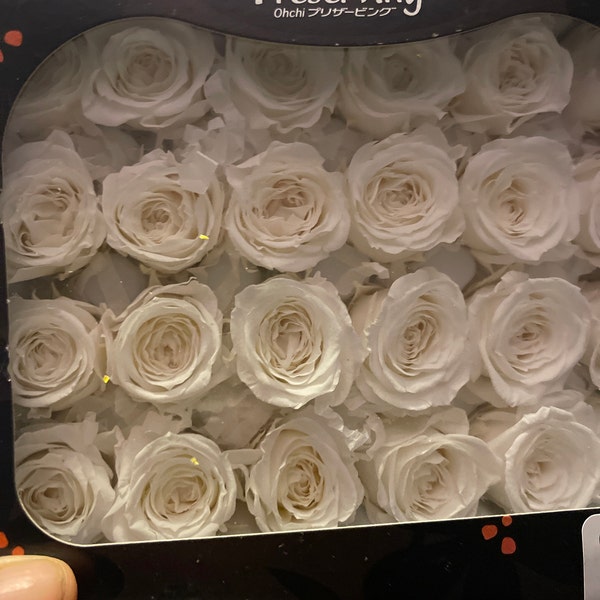 Pure White Qty 24 Vivian Rose Preserved Rose White Rose Dried Preserved ...