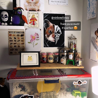 Ferret Art Print White Stoat Hierophant Tarot Card Pet - Etsy