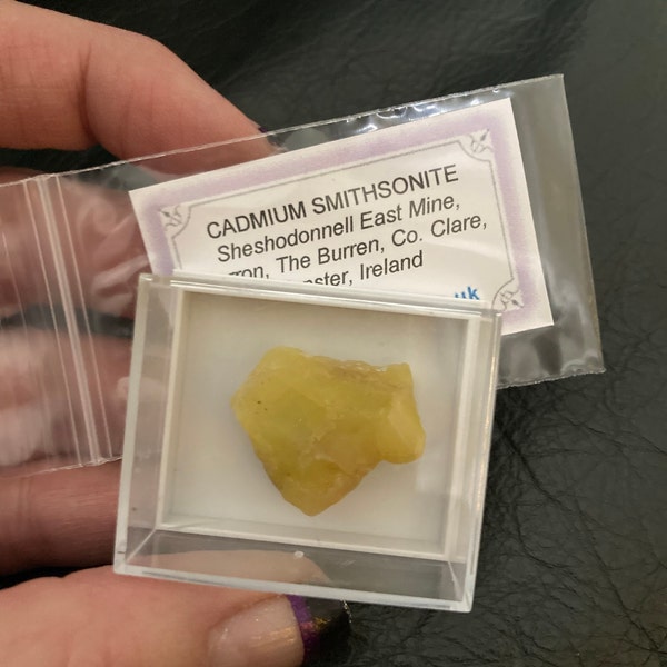 Rock Collection Gift Set | Assortment of Natural Fossils, Crystals ...