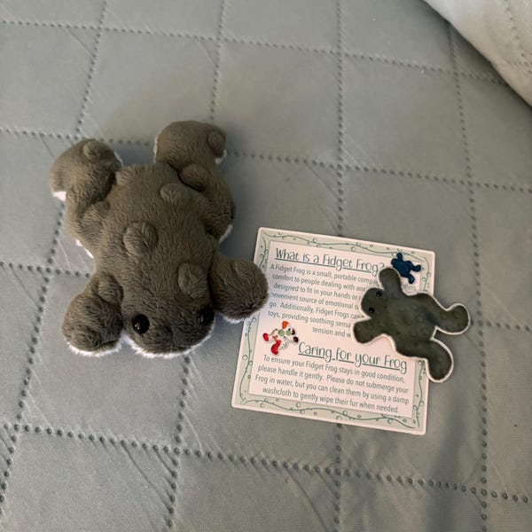 Fidget Frog, Pocket Frog Sensory Comfort Item, Sensory Fidget ...