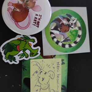 Squirrel, Donkey, Platypus & Dog BADGE / MAGNET Fantasy Transformation ...
