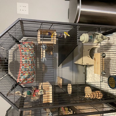 Crazy Critter 11 Pc Kiln Dried Pine Chinchilla//rat//degu//squirrel ...