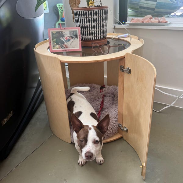 Arche Podium — Sculptural Dog House Coffee Table | Japandi Pet ...