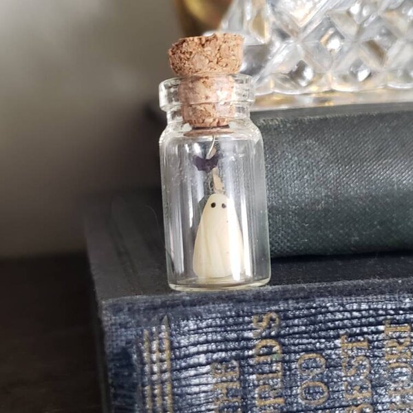 Ghost in a Bottle, Mini Ghost, Pet Ghost, Halloween Terrarium - Etsy