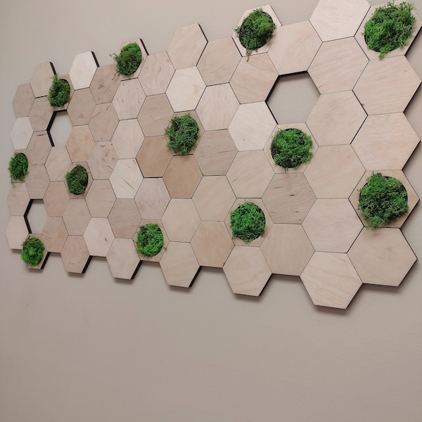 Hexagon Wood & Moss Wall Art,hexagon Wall Tiles, Hexagon Wall Decor ...