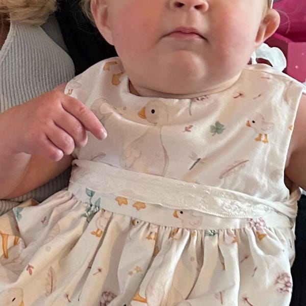 Goose Cotton Fabric by the Yard, Premium Cotton Fabric, Digital Print ...