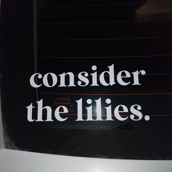 I Am Creating the Life I Want - Vinyl Mirror Decal - Positive ...