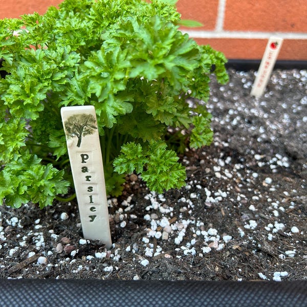 VEGETABLE Plant Markers - Etsy UK