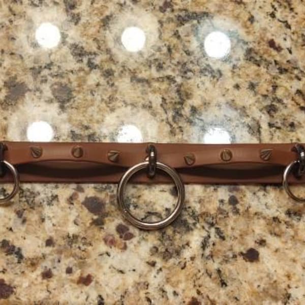 3/4" Stainless Steel Drop D Ring Collar | Durable & Comfortable ...