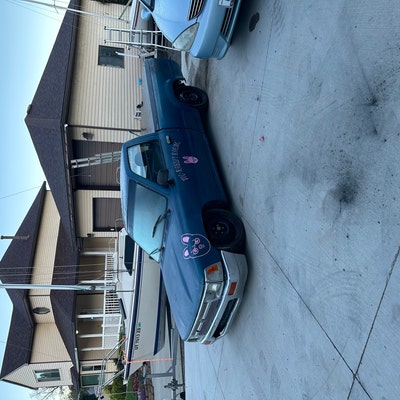 Tiny Toons svg, png, high resolution, file art, t-shirt file, instant ...