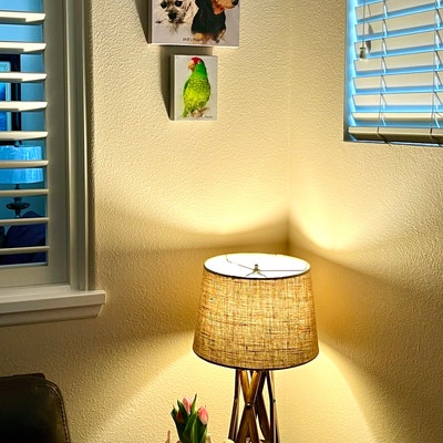 Custom Bird Portrait Beautiful Pet Artwork Custom Parrot - Etsy