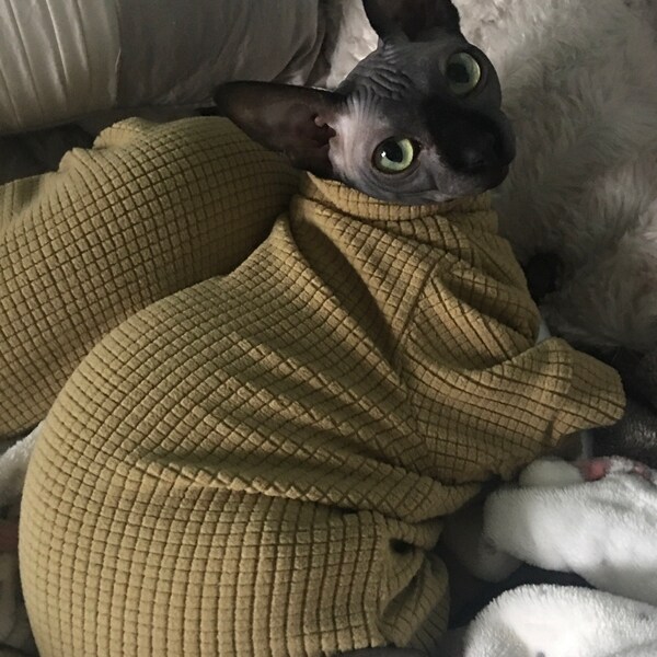 Clothes for Cats, Cat Bathrobe: Handmade Luxury for Your Feline Friend ...