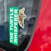 Mantis Shrimp Holographic Sticker, Shrimp Sticker, Ocean Sticker, Vinyl ...