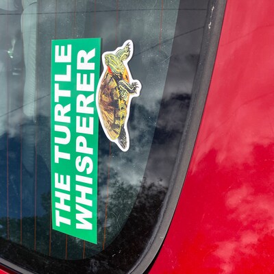 Mantis Shrimp Holographic Sticker, Shrimp Sticker, Ocean Sticker, Vinyl ...