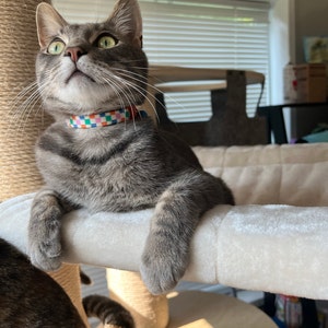 Retro Checkered Cat Collar With Bell, Colorful Male Cat Breakaway ...