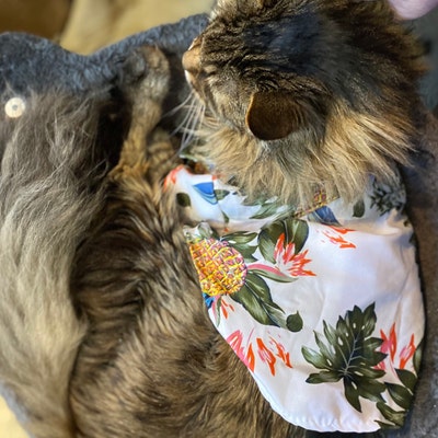 Summertime Aloha Shirt for Cats - Etsy
