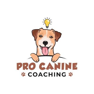 Dog Logo Design, Pet Logo, Professional Logo Design, Pet Salon Logo ...