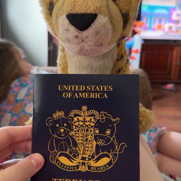 Personalised American Teddy Bear Passport: Custom Photo Travel ...