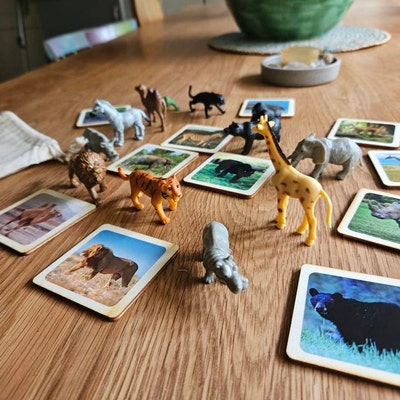 Montessori and Waldorf Learning Sea Life Animals Sustainable Match Toys ...