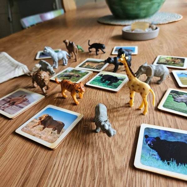 Montessori and Waldorf Learning Sea Life Animals Sustainable Match Toys ...