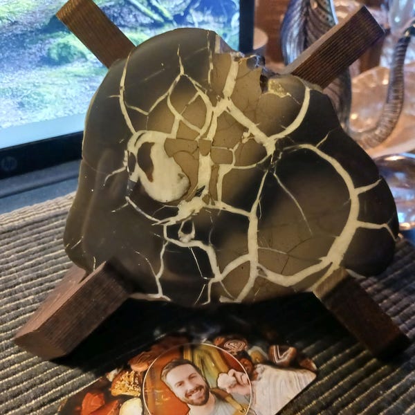 I LICK ROCKS Sticker Funny Rock Stickers Agate Dad - Etsy