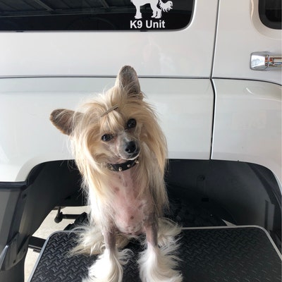 Set 2 Pieces Chinese Crested Dog Sticker Decals With Custom - Etsy