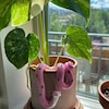 1 Snake Sculpture, or Bookcase Snake, or Planter Snake, or Table Top ...